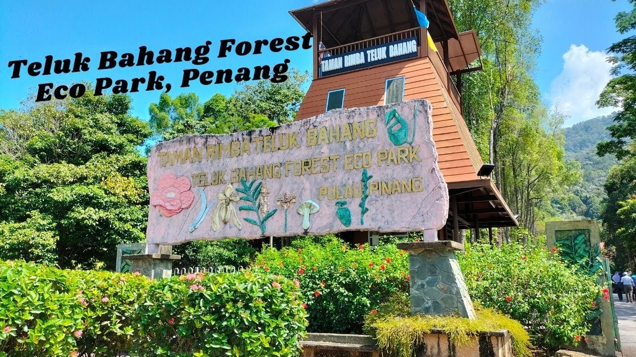 Penang Teluk Bahang Forest Eco – Park [ davidgan explores ] - YouTube