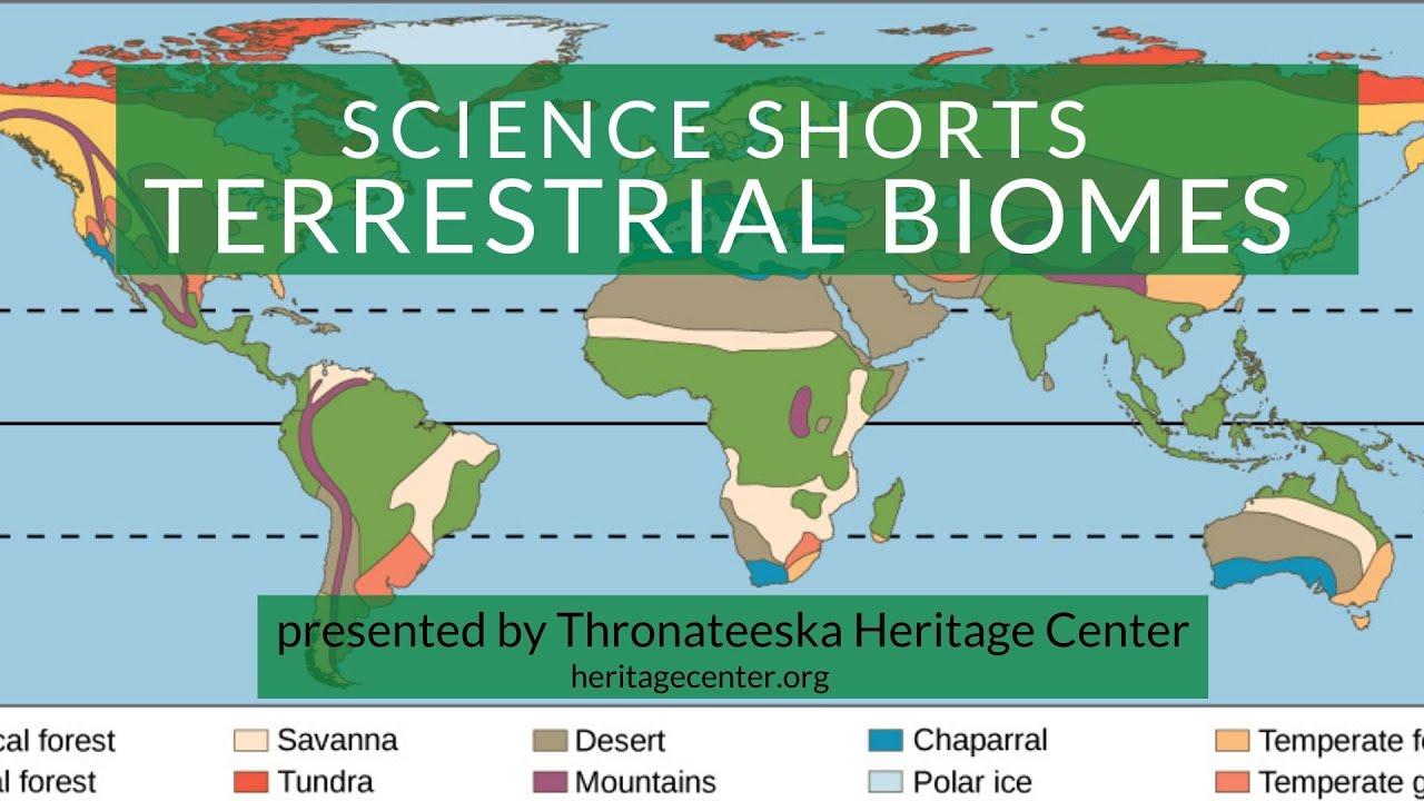 Terrestrial Biomes Map