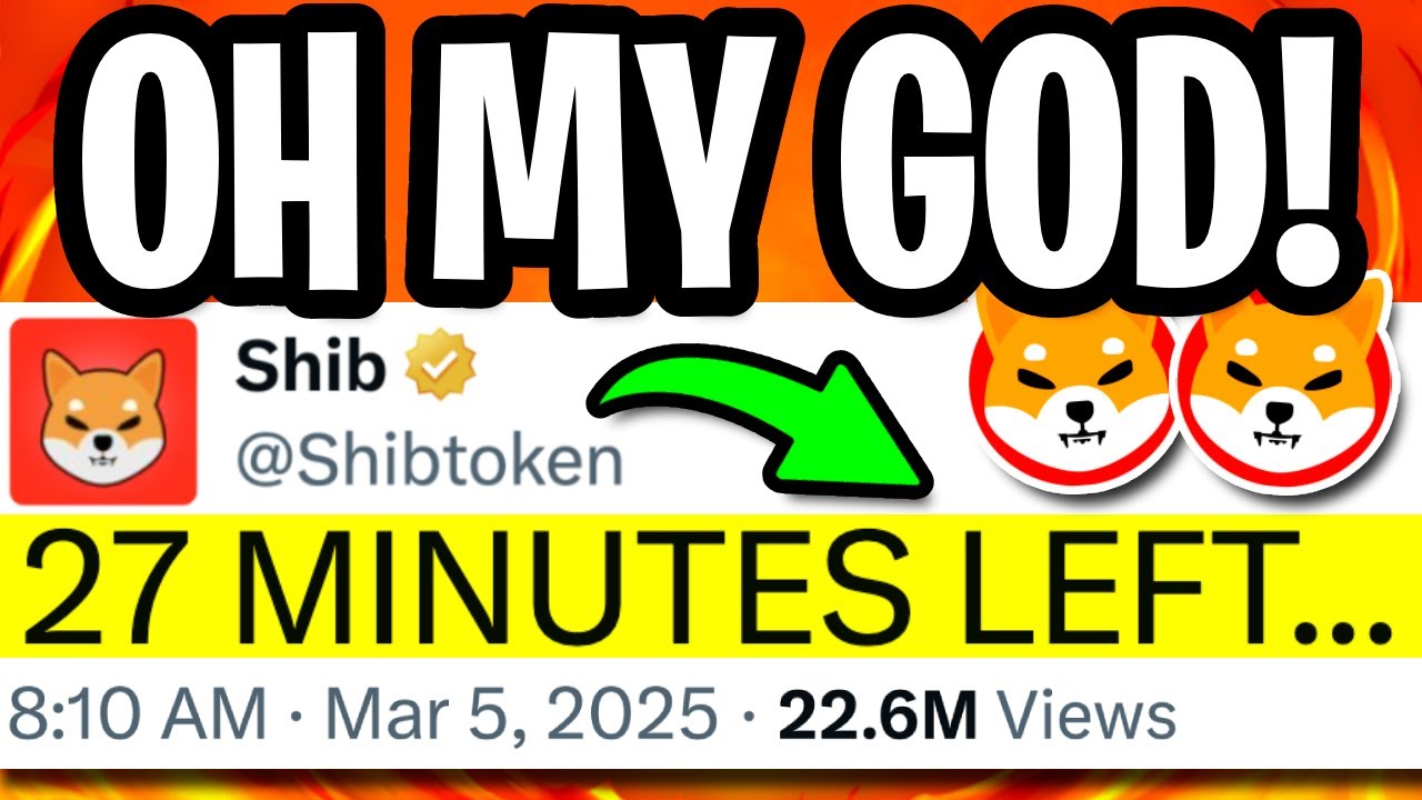 SHIBA INU: THEY JUST WENT MAD!! IT'S GETTING OUT OF CONTROL!! (NO JOKE ...