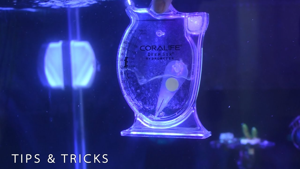 Just Bought a Hydrometer? Watch this - YouTube