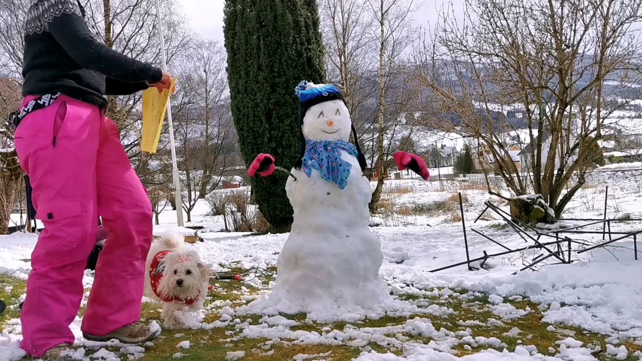 One Snowy Day in Innvik,Norway/ Snowman cheering up the Frontliners ...