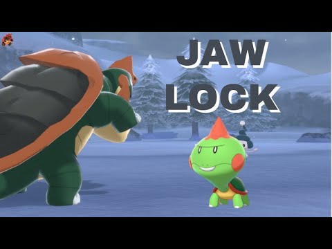 Jaw Lock (Drednaw & Chewtles' Signature Move) | Pokemon Sword and ...