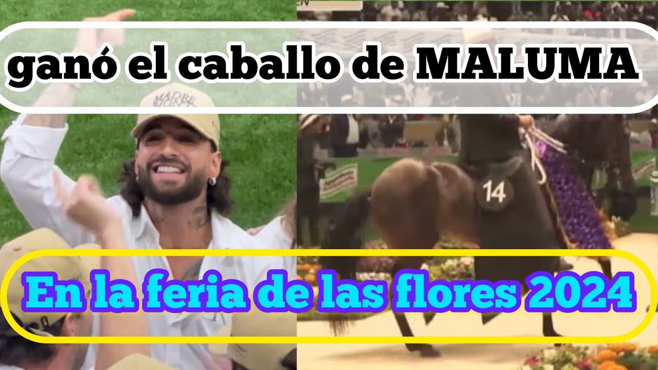 GANÓ EL CABALLO DE MALUMA EN LA MEJOR FERIA DE COLOMBIA Y EL MUNDO ...
