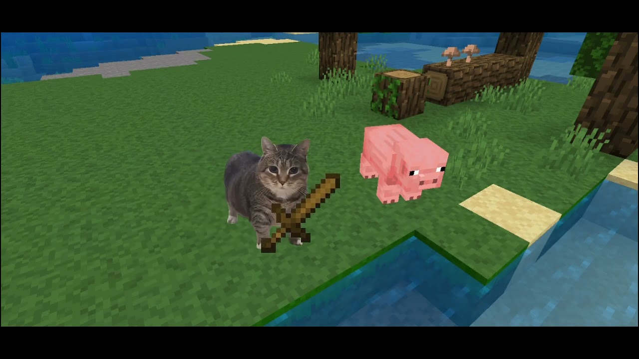 oiacat cria um novo mundo#foryou #minecraft #gatos #memes #gamingvideos ...