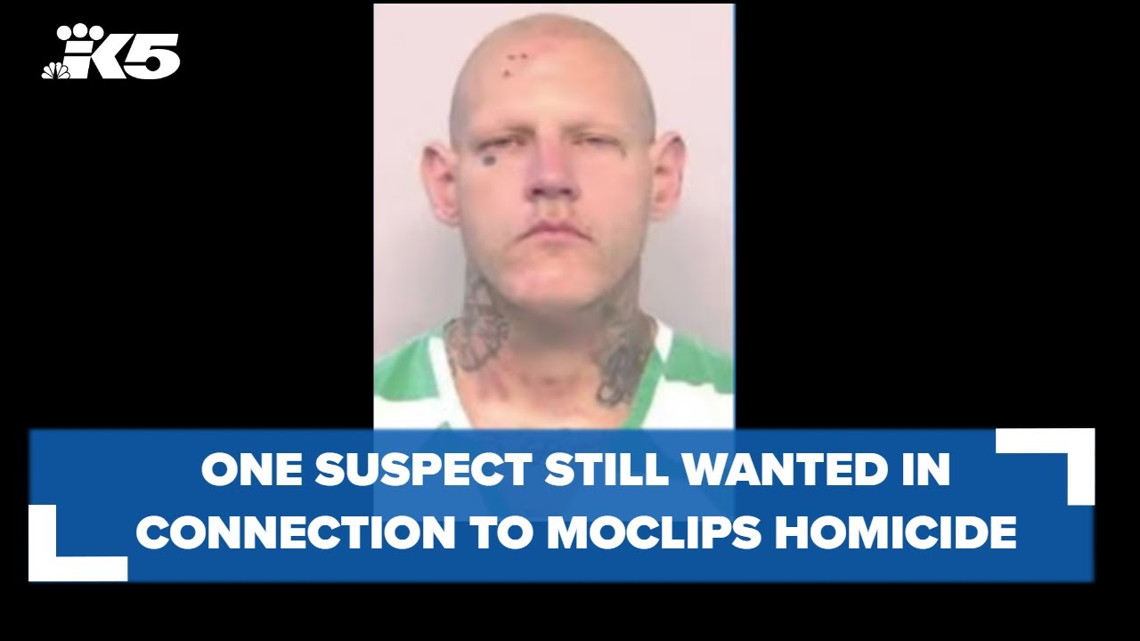Suspect in Moclips homicide turns himself in, police still searching ...