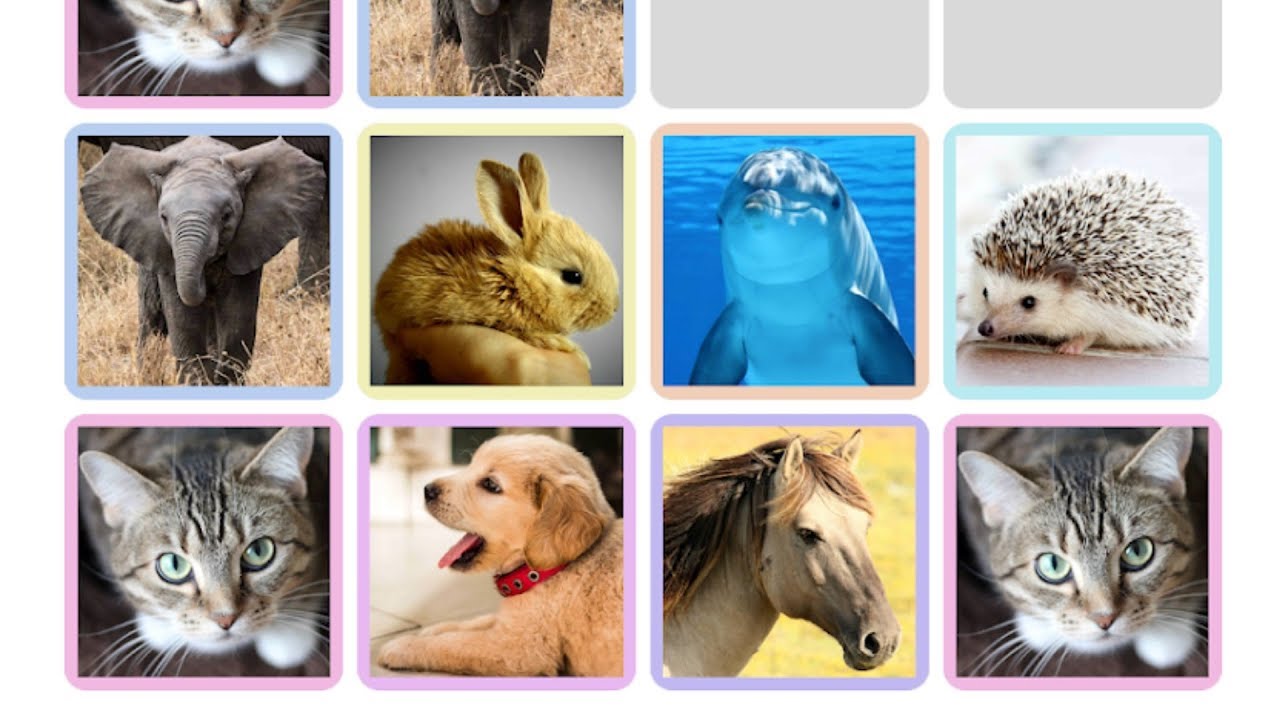 2048 Cute Animals - Puzzle for Girls - YouTube