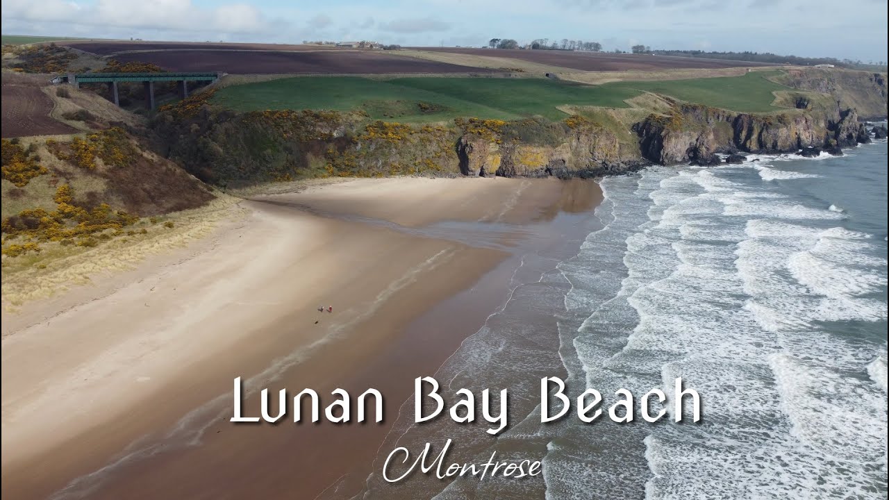 Lunan Bay Beach - Montrose - Scotland | 4K | DJI Mini2 - YouTube