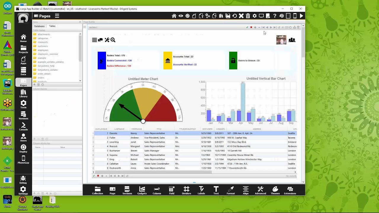 VFP Custom Section - YouTube