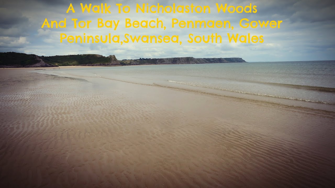 A Walk To Nicholaston Woods And Tor Bay Beach - YouTube
