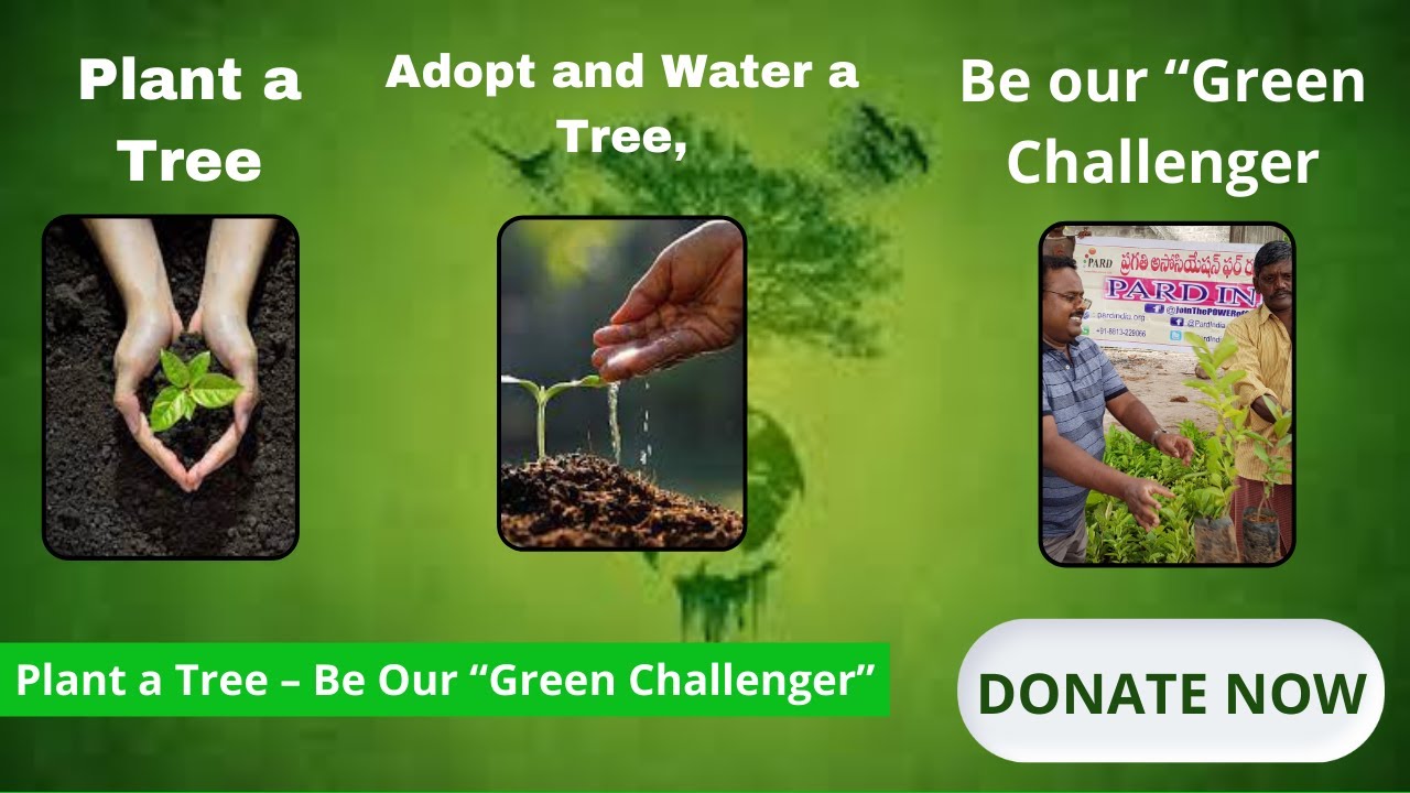 Tree Plantation Project & Campaign ||Be our Green Challenger ||pard ...