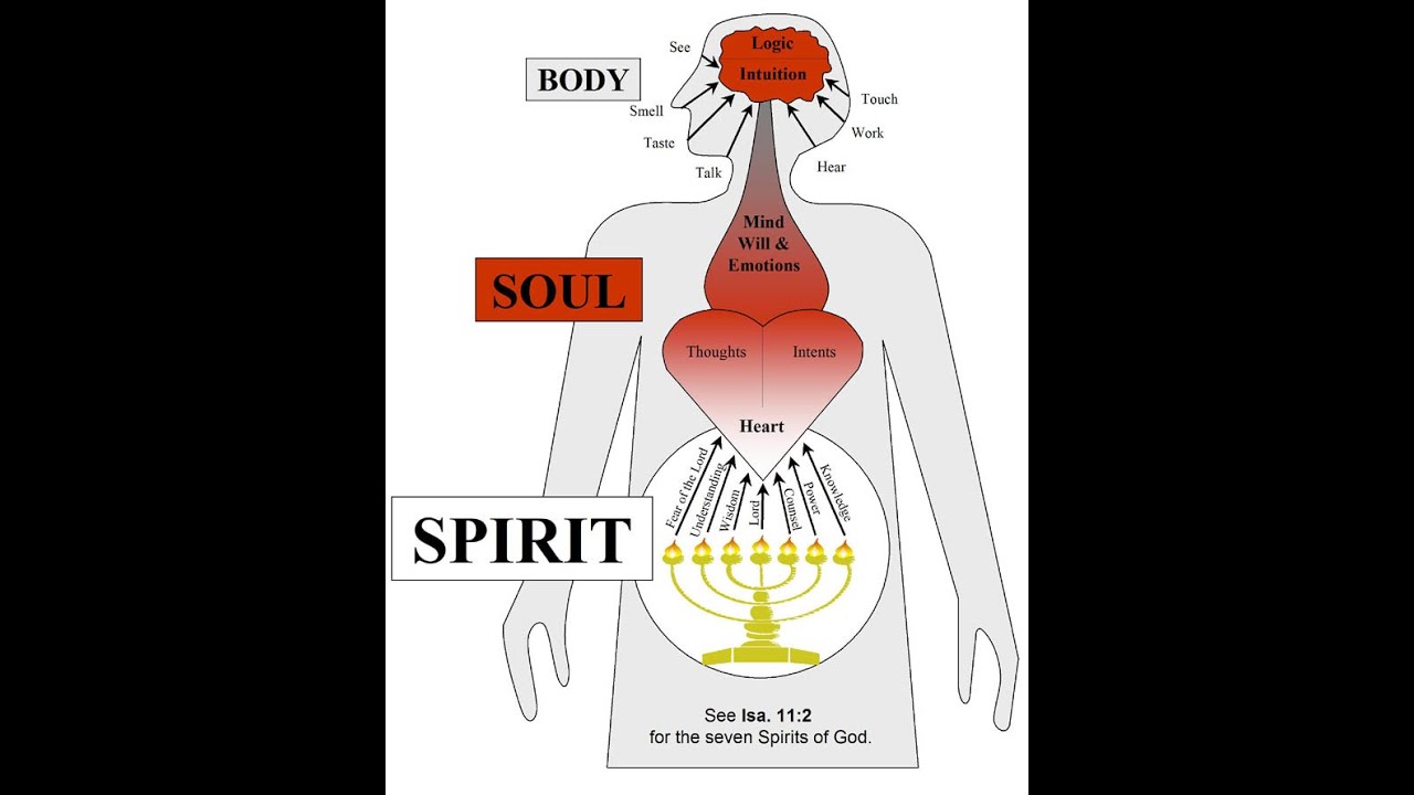 THE TRIPARTITE MAN - YouTube