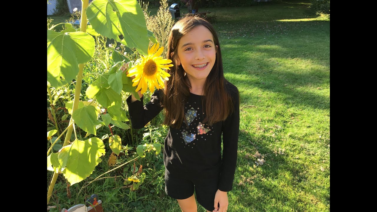 A rainbow grows giant sunflowers as she grows up herself - YouTube