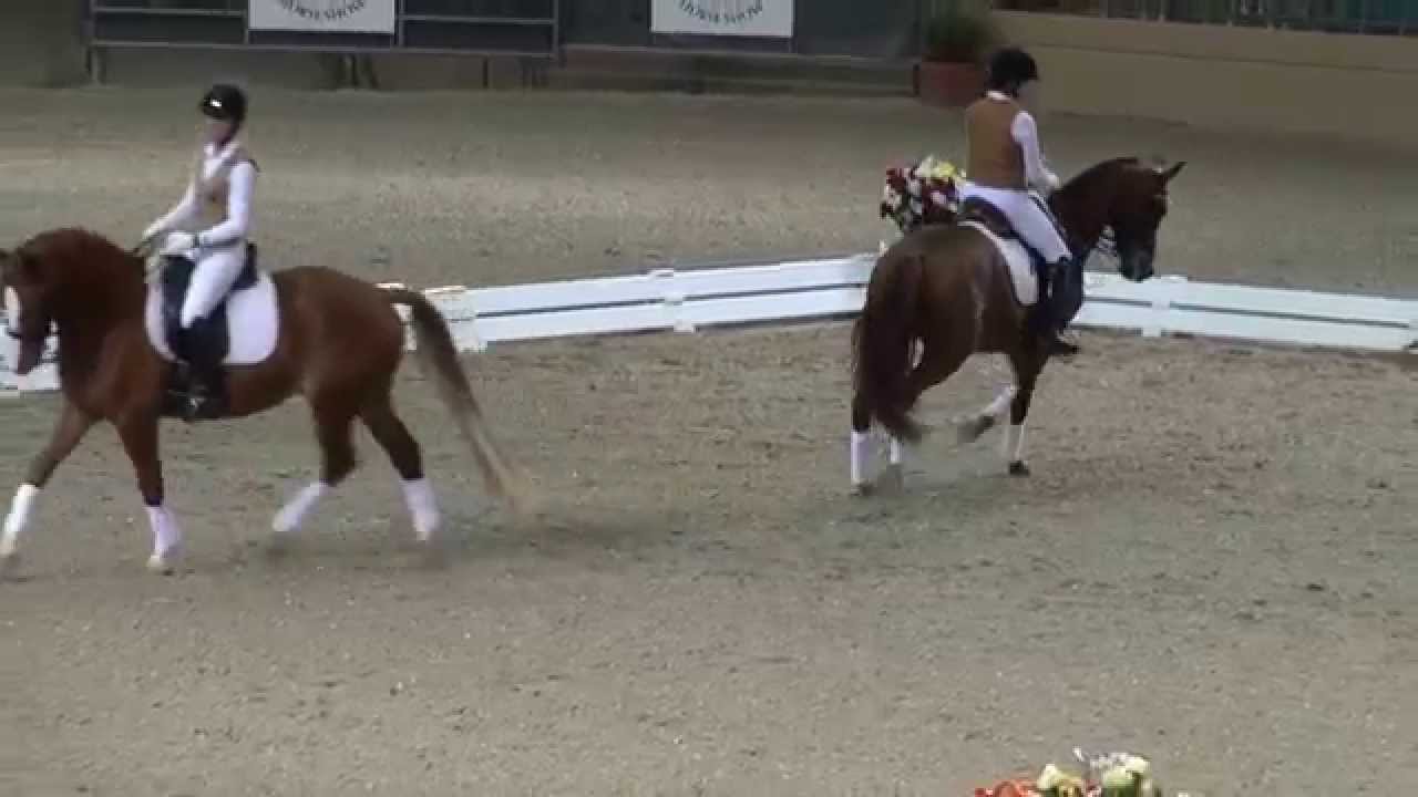 Pas de Duex – Joy Roth & Sarah Pinney - Evening of Musical Freestyles ...