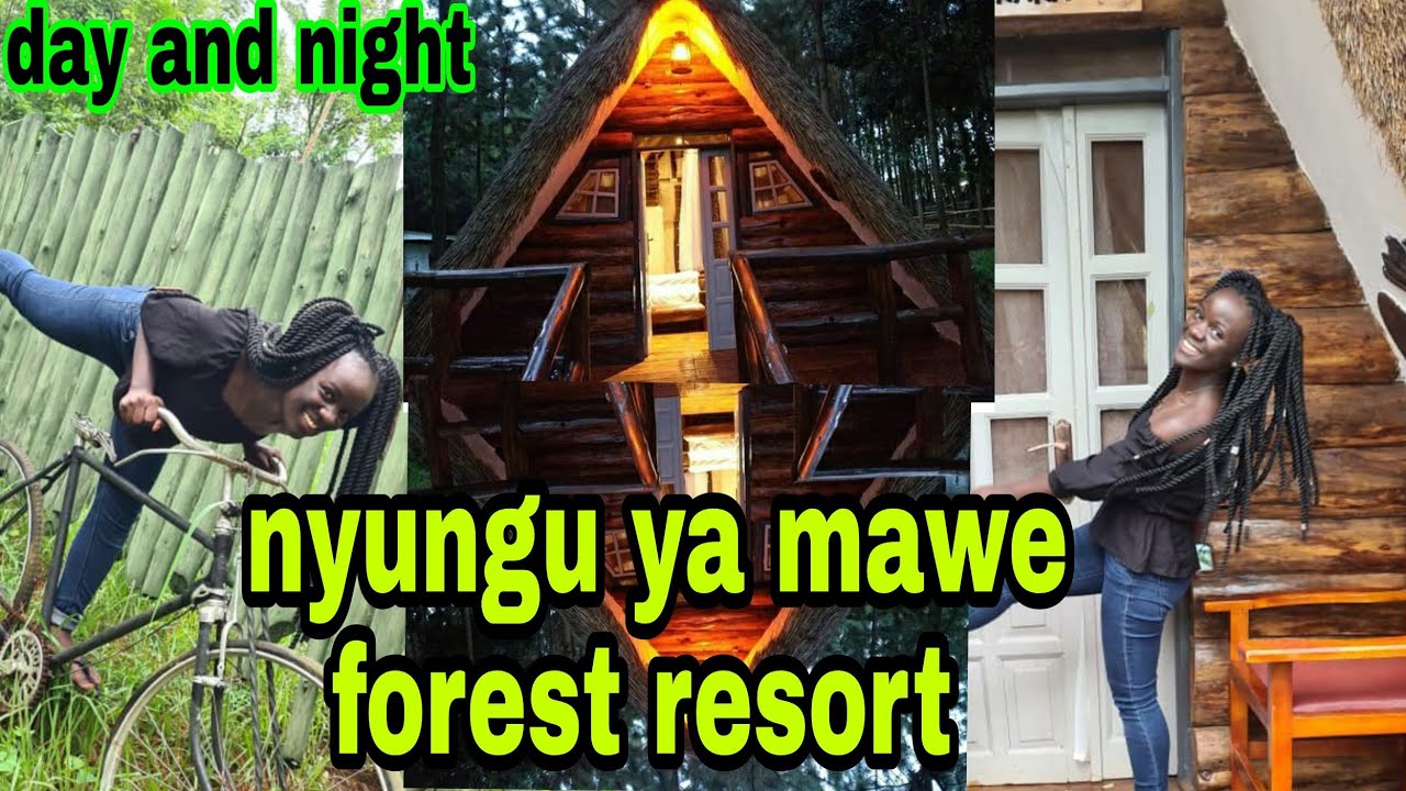A staycation at the famous Nyungu Ya Mawe forest resort. ft @AmitoMitra ...
