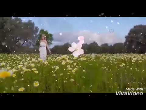 Gözel bir watchap videosu ve super mahni