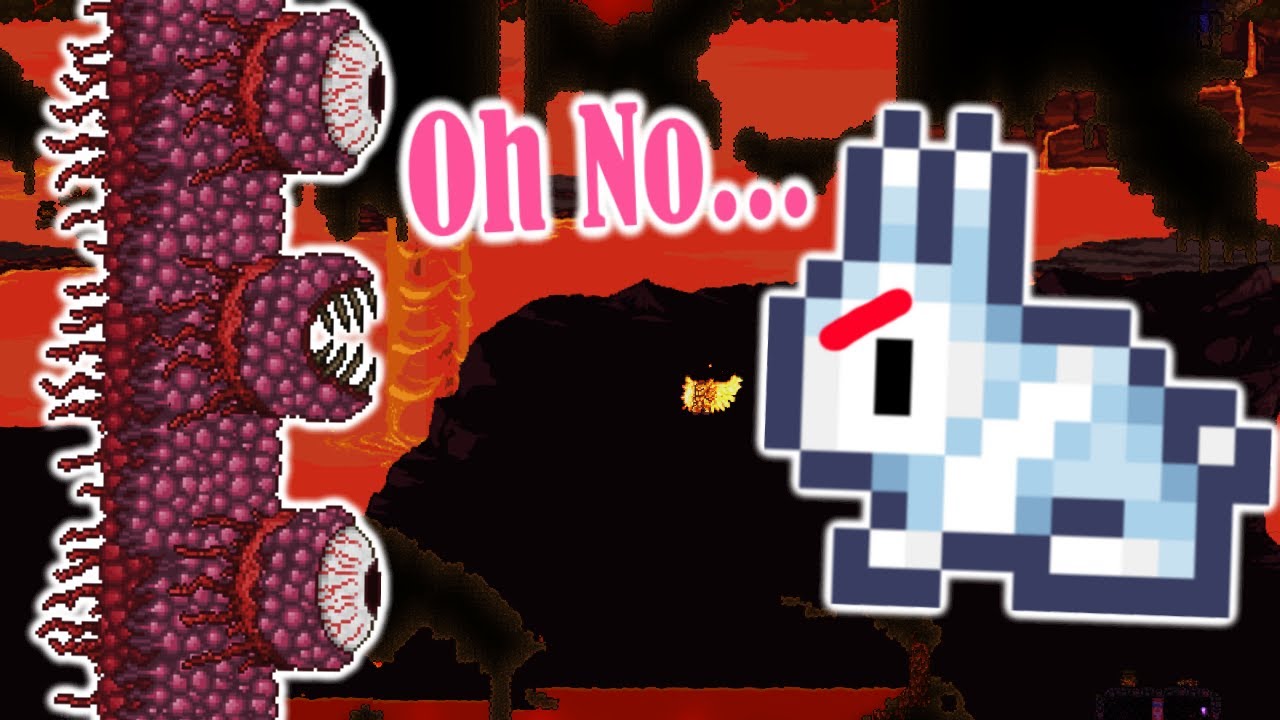 I One Shot Master Mode Bosses With Bunnies! (Terraria 1.4) - YouTube