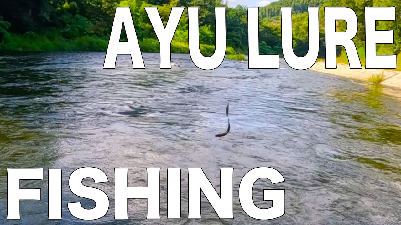 First Attempt ️Long-Awaited First Catch with Ayu Lure【Ayu Fishing ...