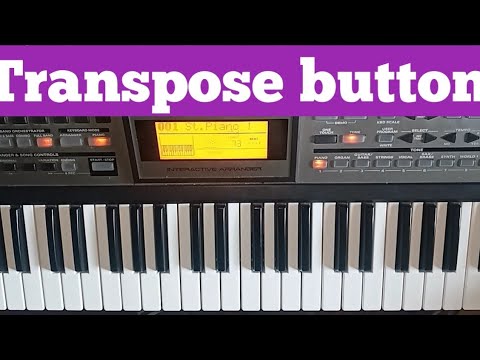 TRANSPOSE BUTTON on the Keyboard||How to play itende style - YouTube