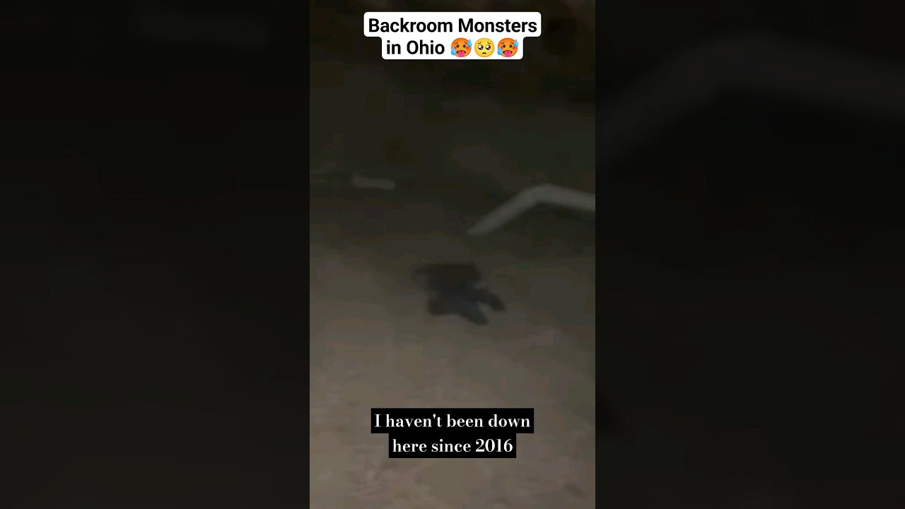 Backroom monsters from Ohio 🥵🥺 #ohio #meme #backrooms #horror #memes # ...