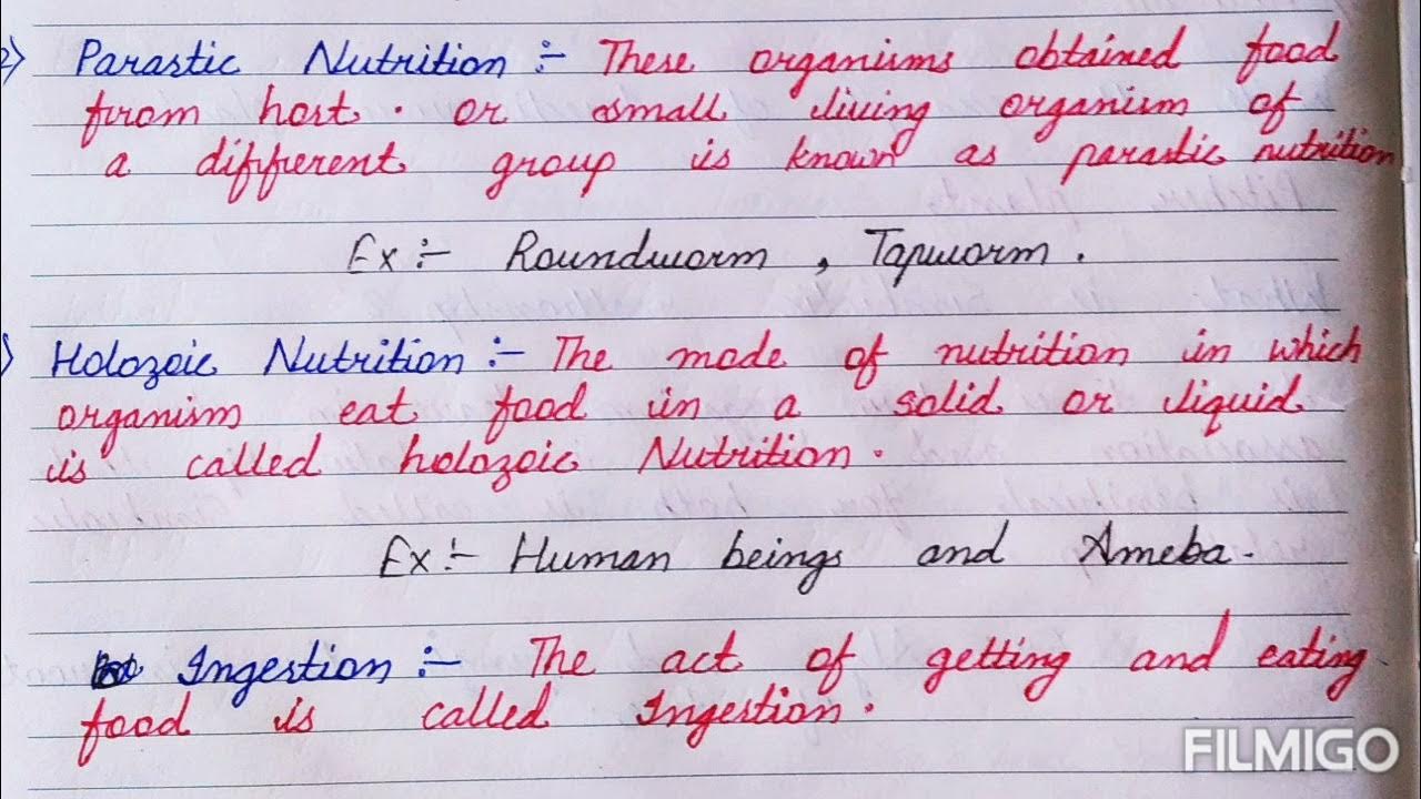 Dav Class 7 Science Chapter 2 Important Questions YouTube dav-class-7-science-chapter-2-important-questions-youtube