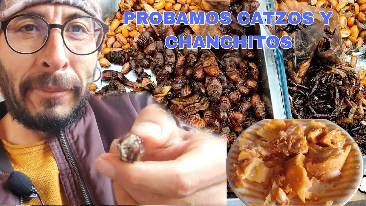 CATZOS Y CHANCHOS COMIDAS TIPICAS DEL DIA DE LOS DIFUNTOS / MERCADO LA ...