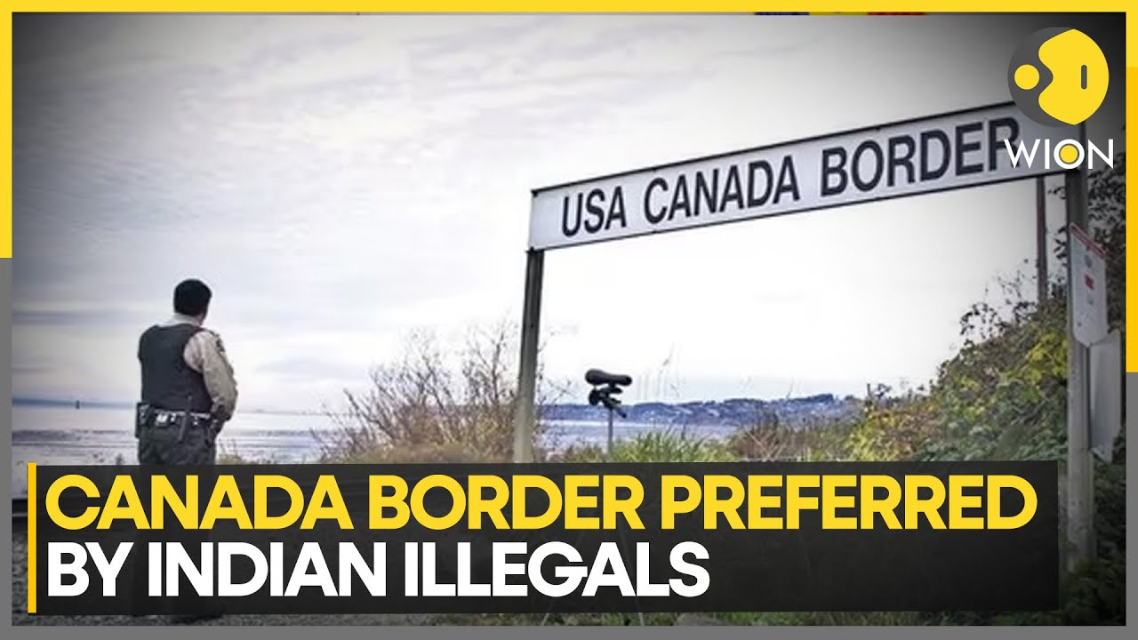 Over 43,000 Indians Caught Trying To Cross Into US | World News | WION ...