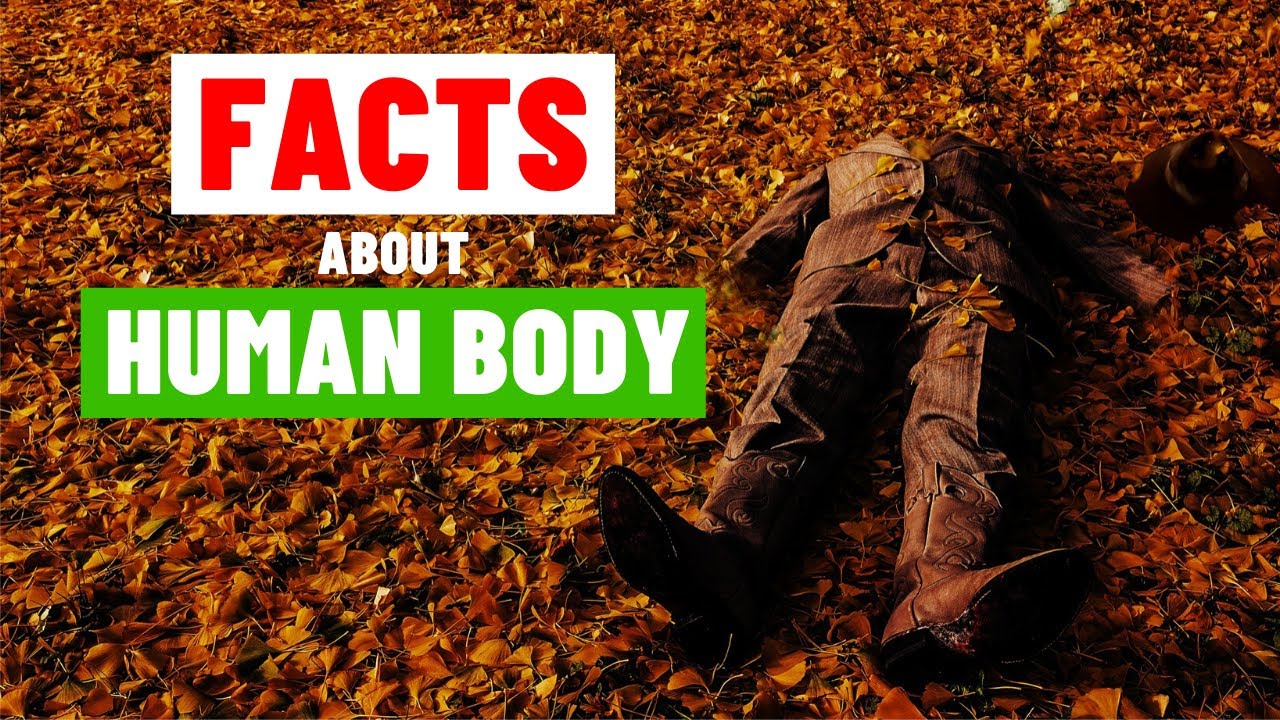 Interesting and CRAZY Facts About The Human Body You Didn't Know. - YouTube