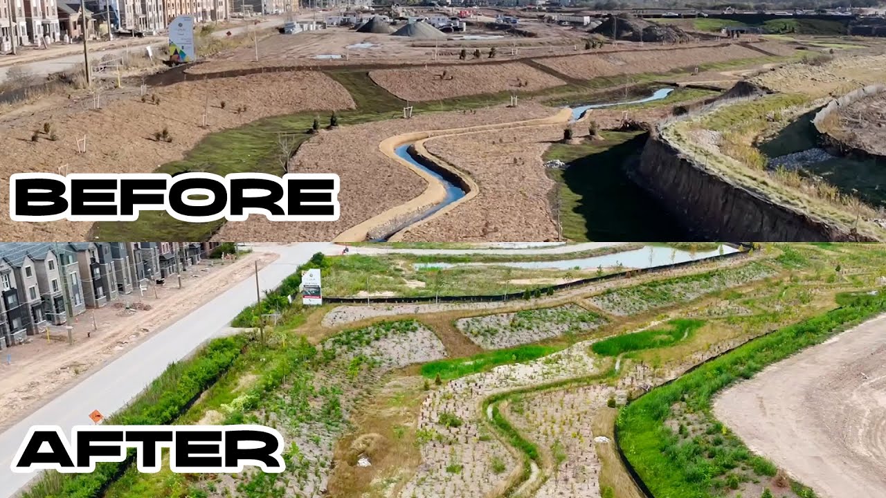 Before and After Landscape Transformation - YouTube