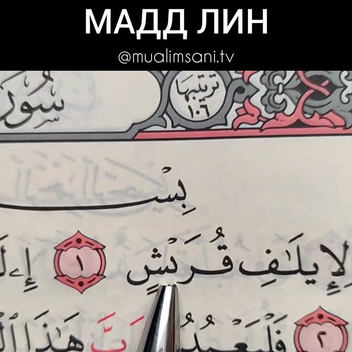 ПРАВИЛА МАДД ЛИН - YouTube