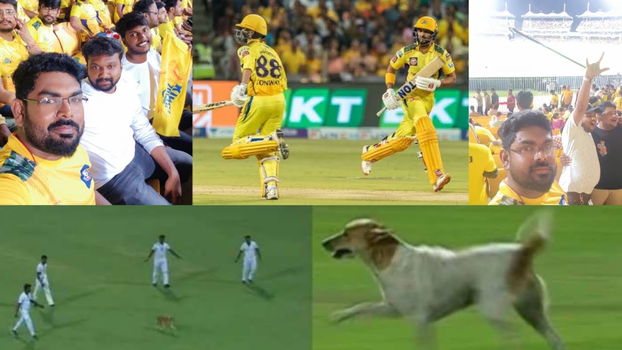 CSK batting first in #cskvslsg l Dog entered ground & delayed match🤣😂 l ...