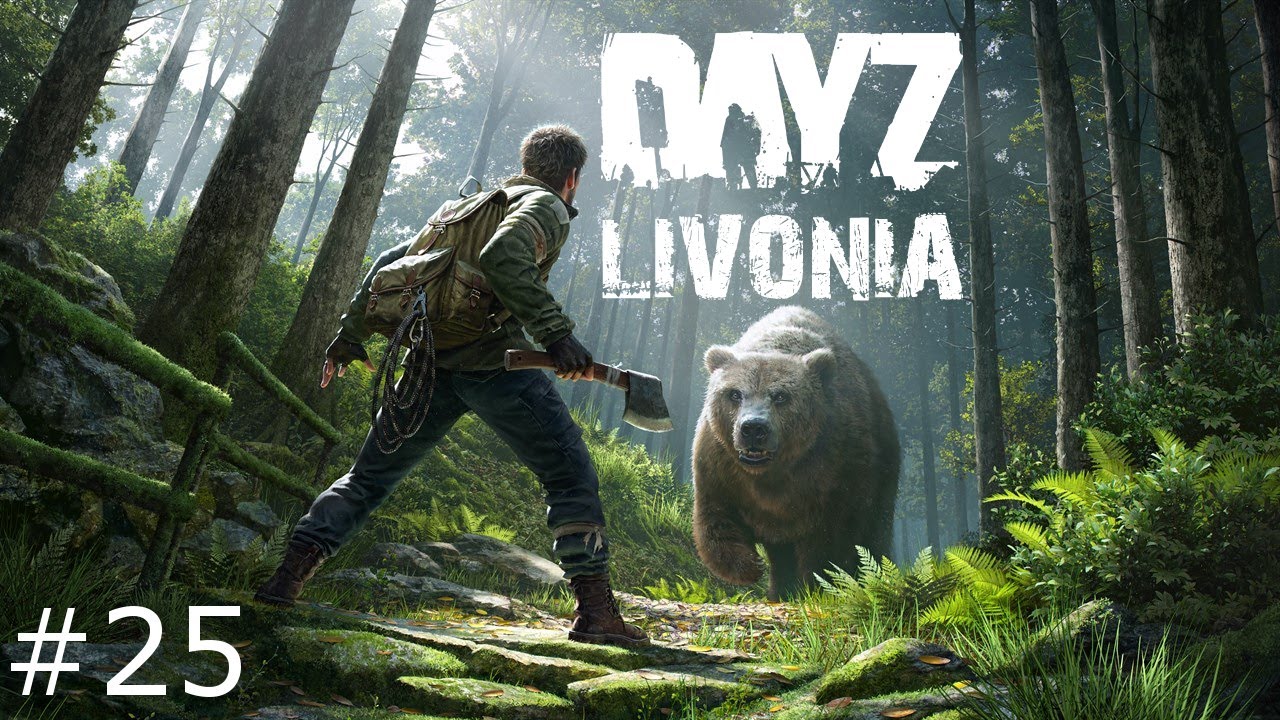 DayZ - PvE #25 - Welche Flagge nehmen wir? - YouTube