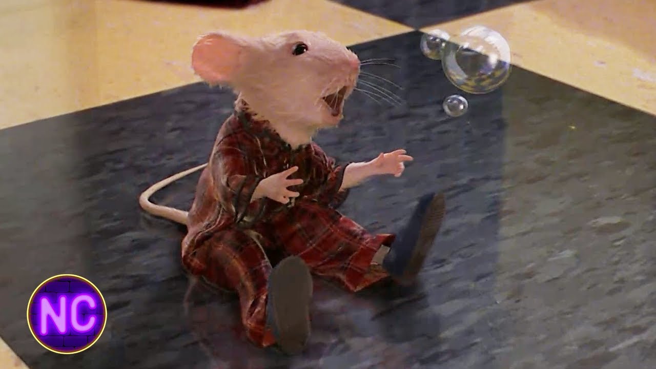 Stuart Little | A Ride in the Washer - YouTube