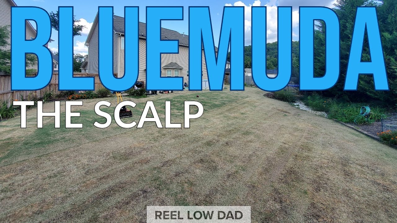 Preparing a Lawn for Seeding // Bluemuda - YouTube