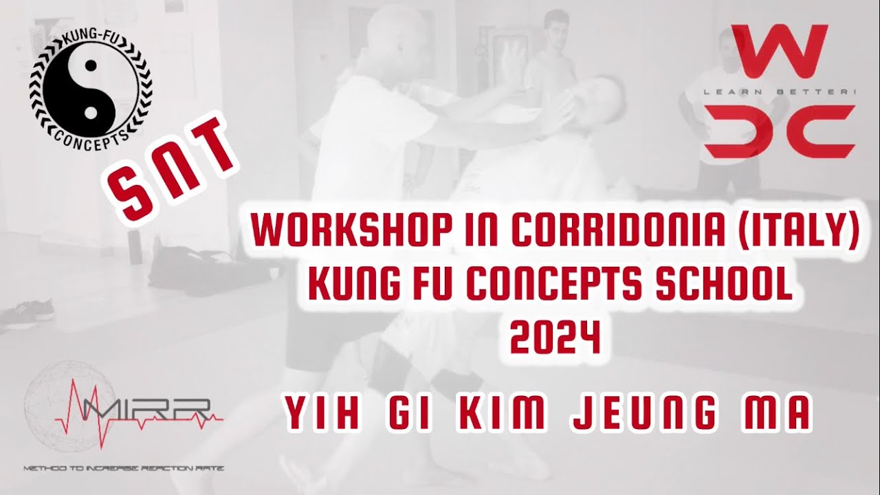 YIH GI KIM JEUNG MA DETAILED WING CHUN POSITION - YouTube