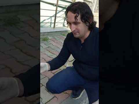 Fare ve büyük Sıçanlar için fare kapanı.