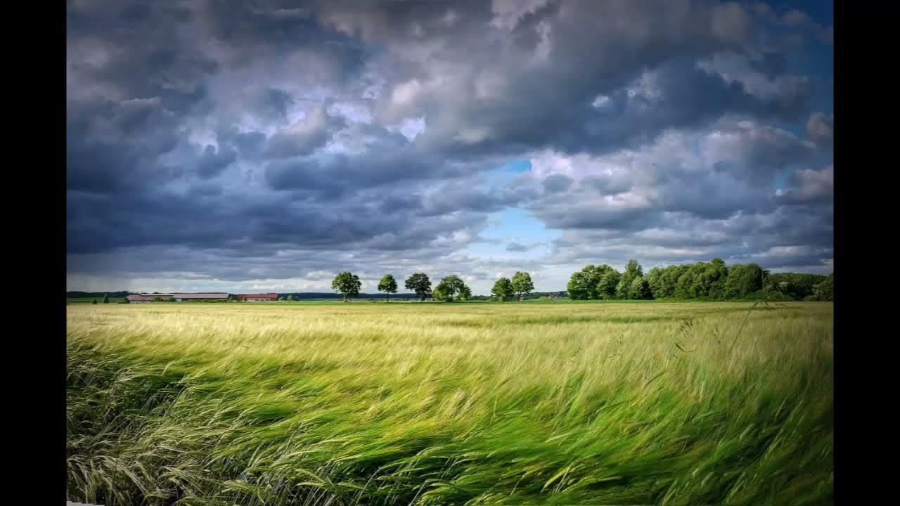 Flute Piccolo FLORENTINE MULSANT "WIND POUR PICCOLO SOLO Op90" - YouTube