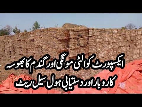 Export quality bhosa purchase opportunity |Bhosa bussiness in Pakistan ...