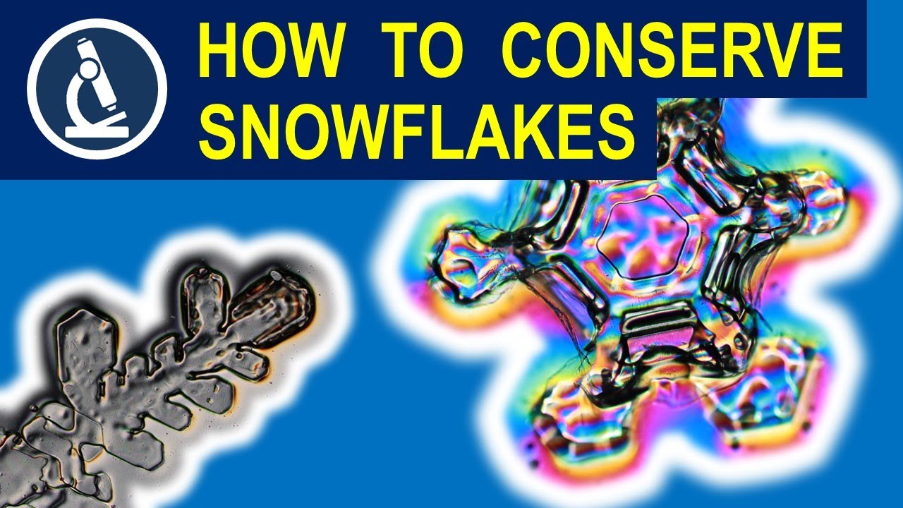 How to put SNOW under the microscope (without taking the microscope out ...