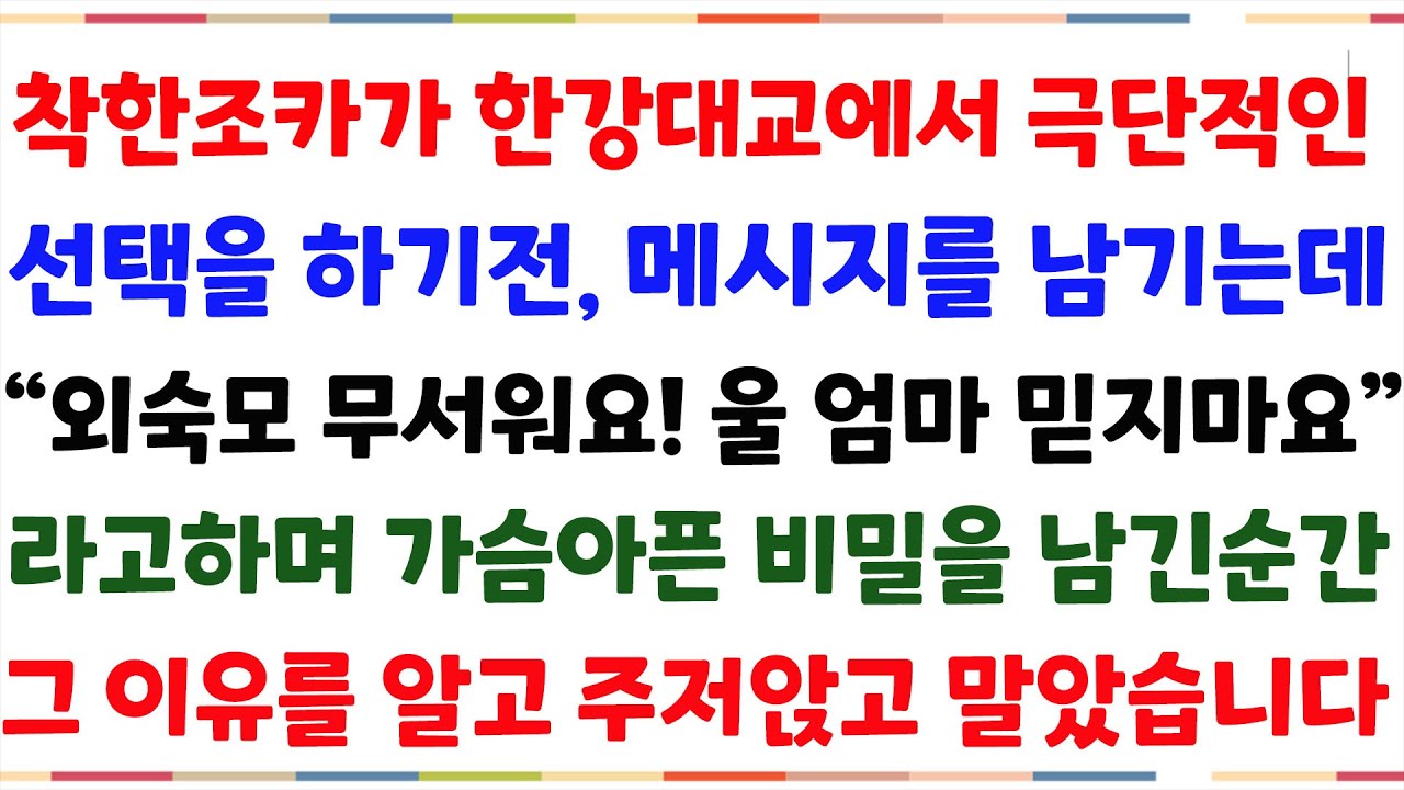 반전신청사연 착한조카가 한강다리에서 극단적인 선택하기전 메시지를 남기는데 외숙모 우리엄마 때문에 힘들어요 조카가 남긴