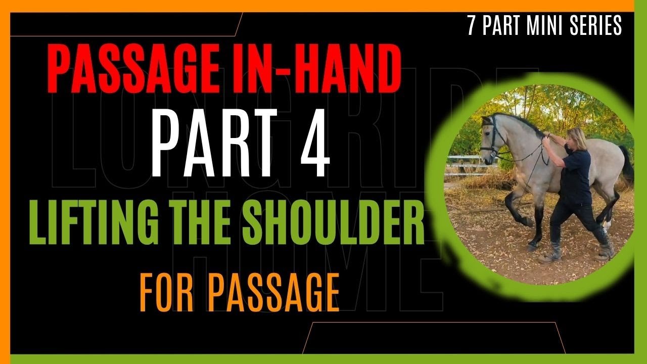 Passage In-Hand – Part 4: Elevating the Shoulders for True Passage ...