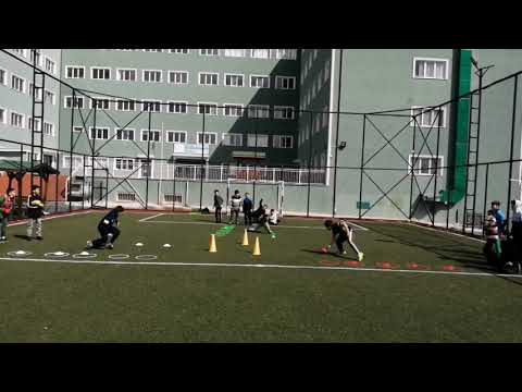 Beden Eğitimi ve Spor - Eğitsel oyun