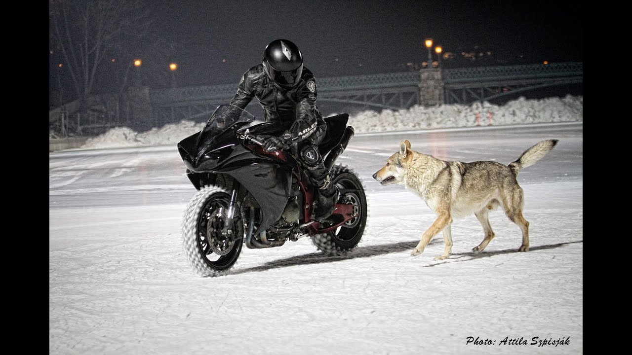 Wolves on the Ice - Riding on the ice with Yamaha R1 - Introduction ...