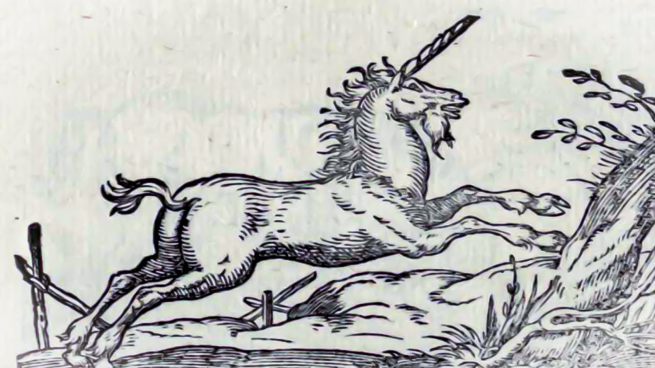 431 Year Old Book of Animals - YouTube