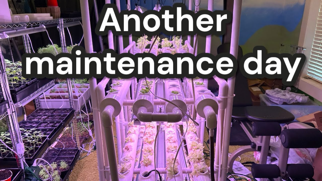 Another maintenance day - YouTube