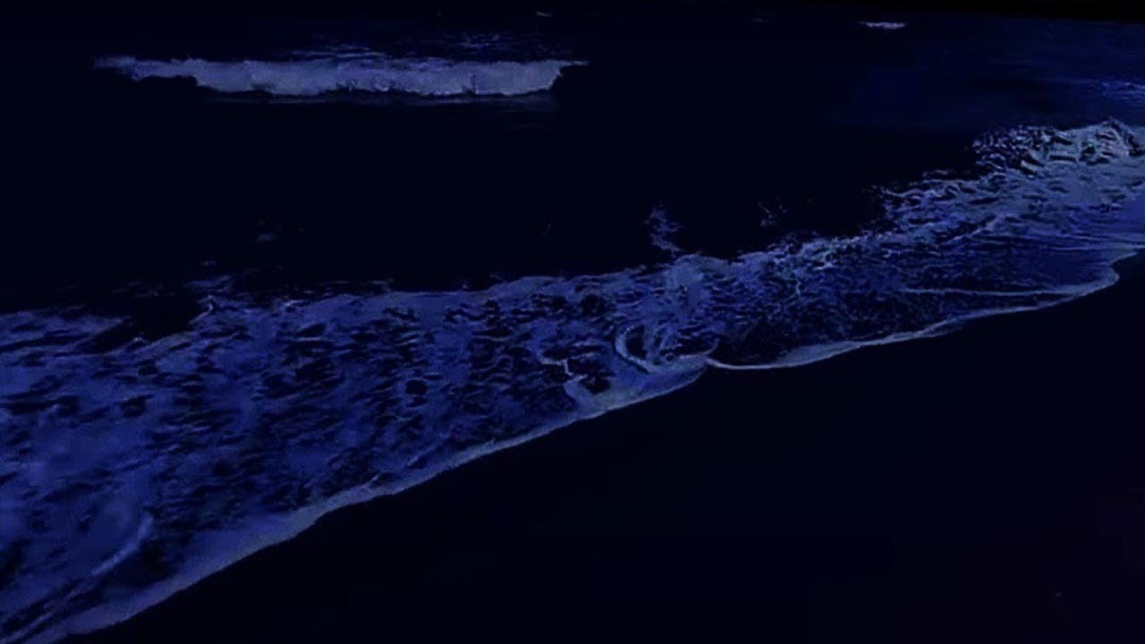 Fall Asleep With Nightly Ocean Waves at Night • Calming Meditation ...