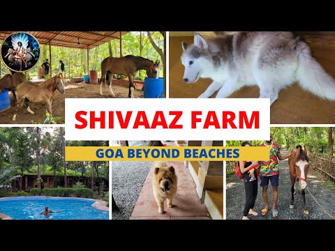 Shivaaz Farm Goa Forest Stay & Adventure | Border zare Maharashtra ...