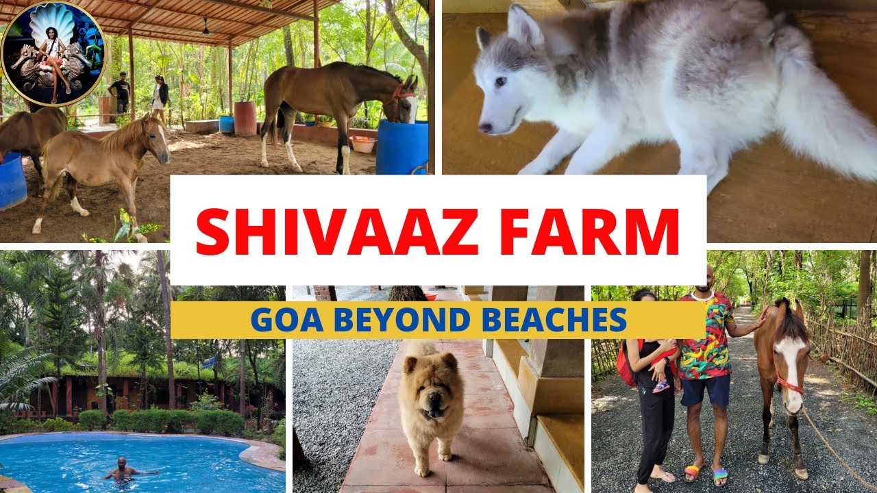 Shivaaz Farm Goa Forest Stay & Adventure | Border zare Maharashtra ...