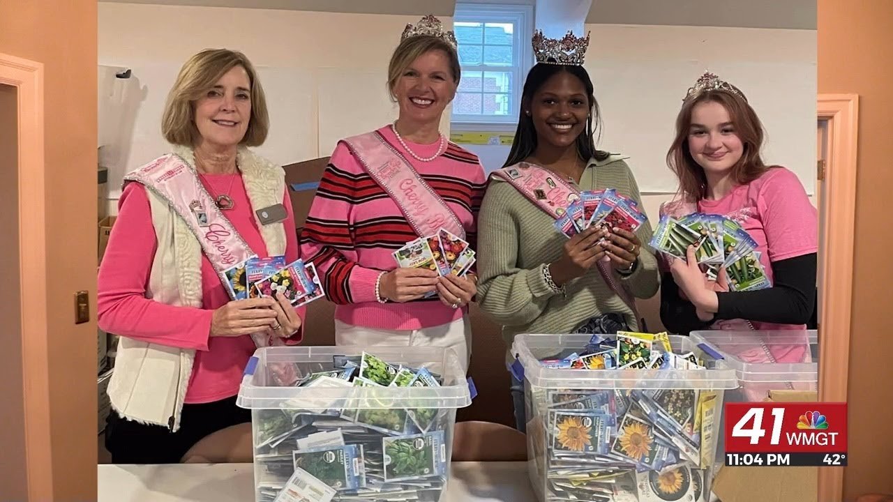 Cherry Blossom Royalty application process open - YouTube