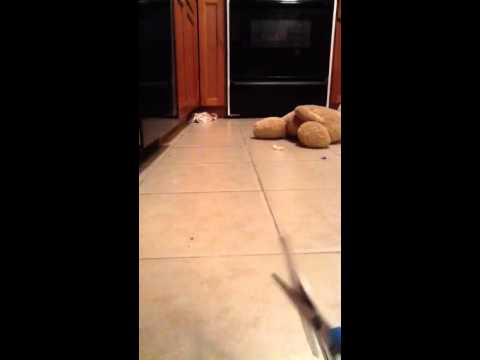 Exploding spoons! - YouTube