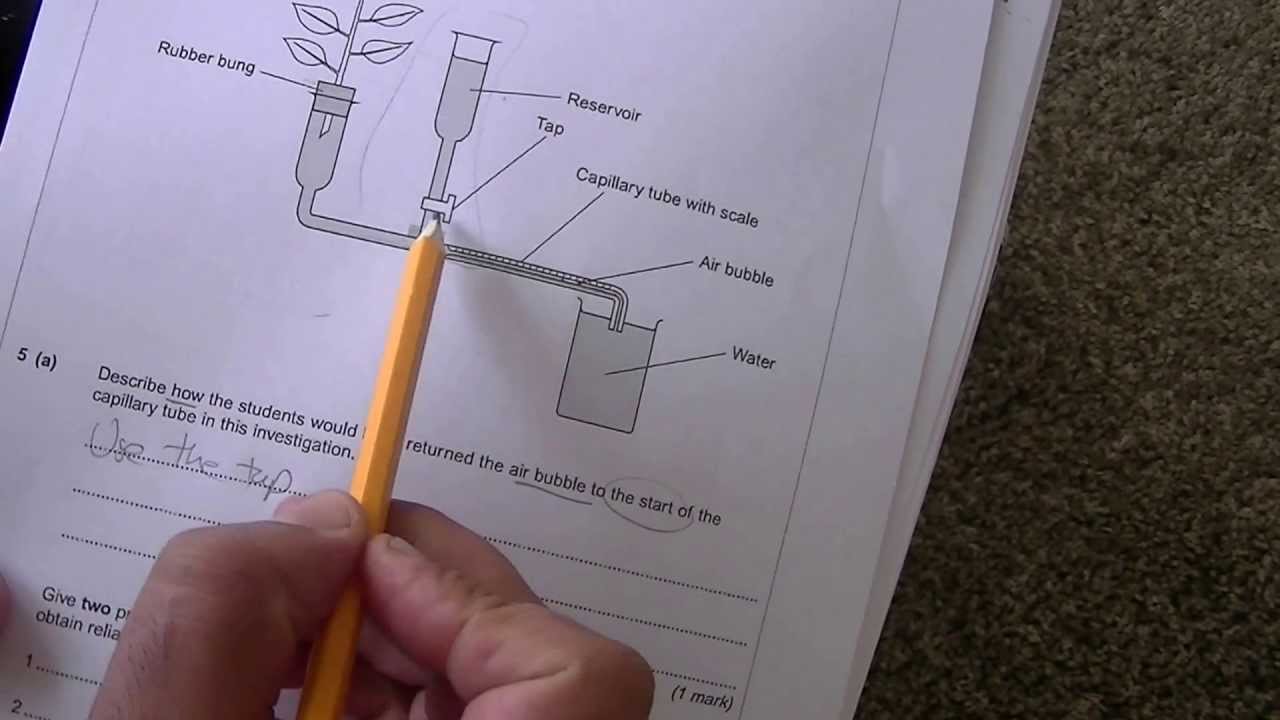 killer revision strategies for UNIT 2 AS Biology 2013 exam question ...
